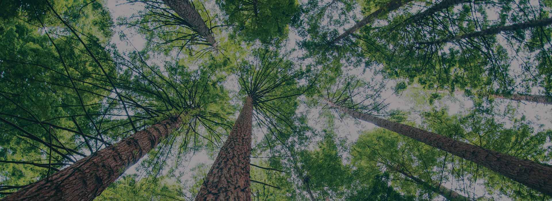 CBGF Timeline: Canada’s Leading Growth Capital Investor