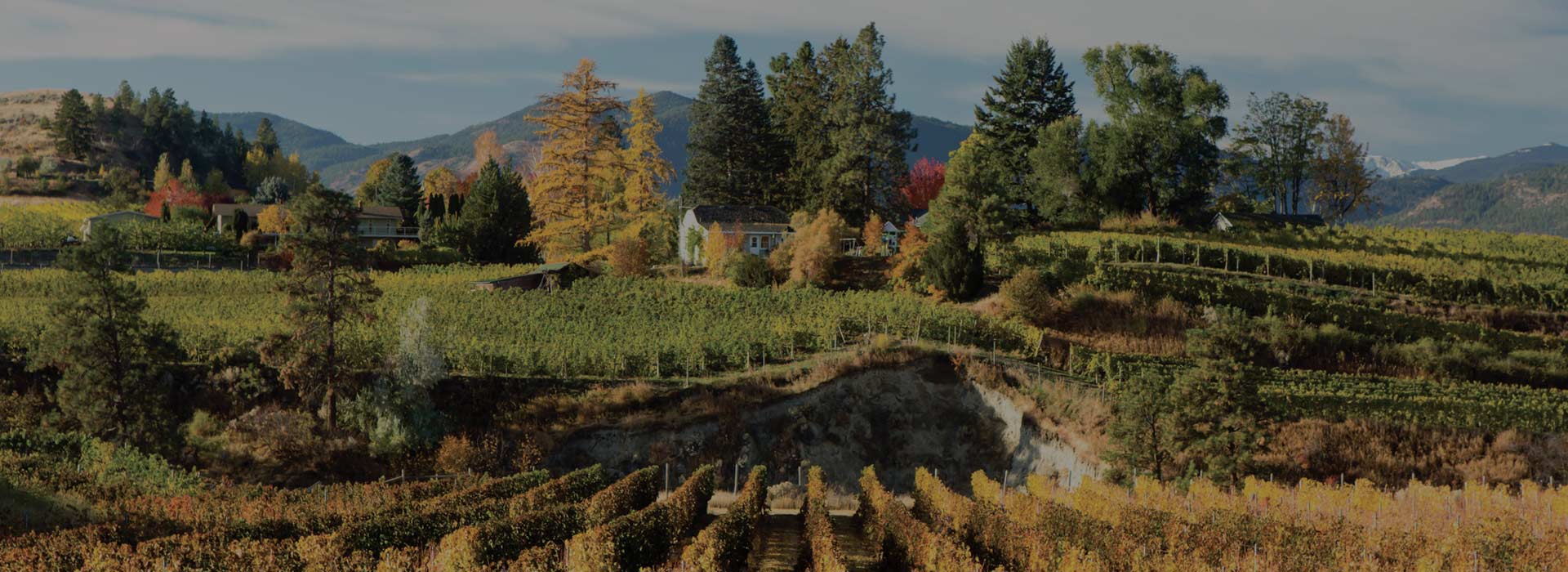 Latest News from the Canadian Business Growth Fund (CBGF)