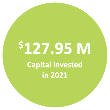 CBGF 2021 Year In Review (investment summary)